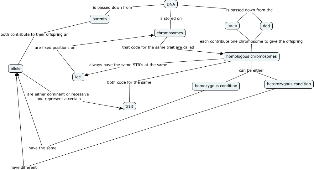 Inheritance Terms - How are traits passed to offspring?